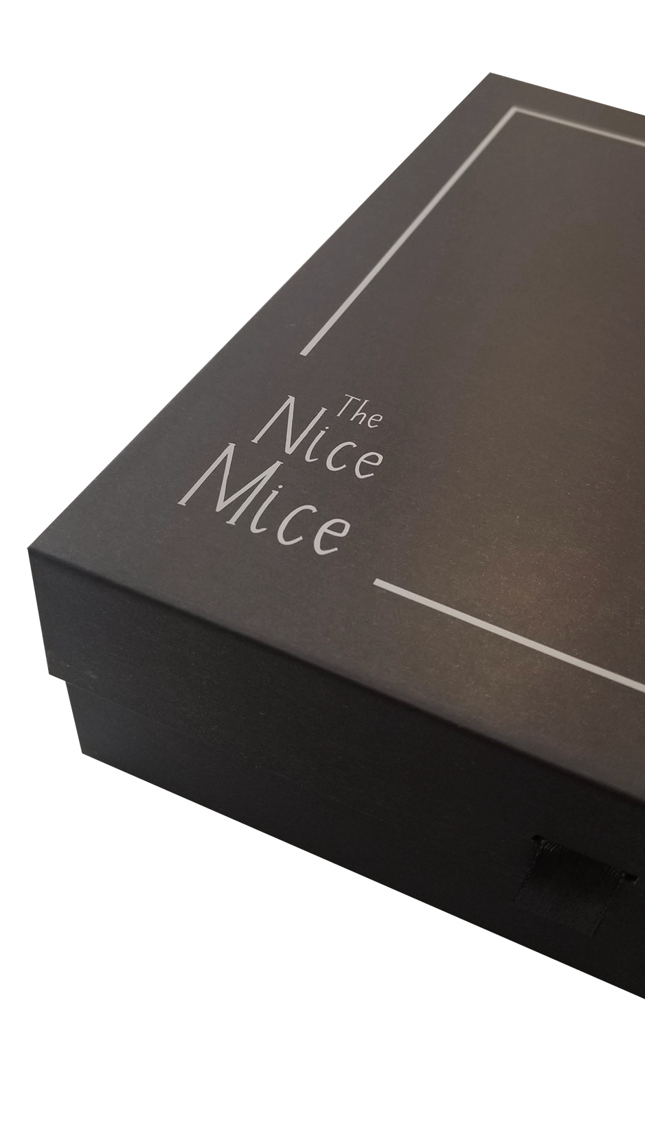 Home – The Nice Mice